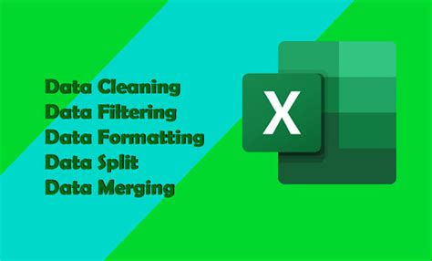 Clean And Format Excel Data By Saadkhan888 Fiverr