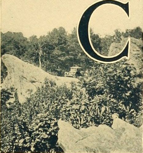 How Do We Determine The Morally Right Thing To Do In Any Given Situation Act Consequentialism