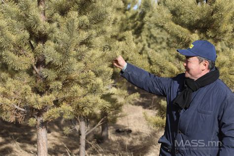 “СОЁОЛЖ” КОМПАНИ 6 Р САРД МОД ҮРЖҮҮЛГИЙН ТАЛБАЙДАА НЭЭЛТТЭЙ ӨДӨРЛӨГ ЗОХИОН БАЙГУУЛНА
