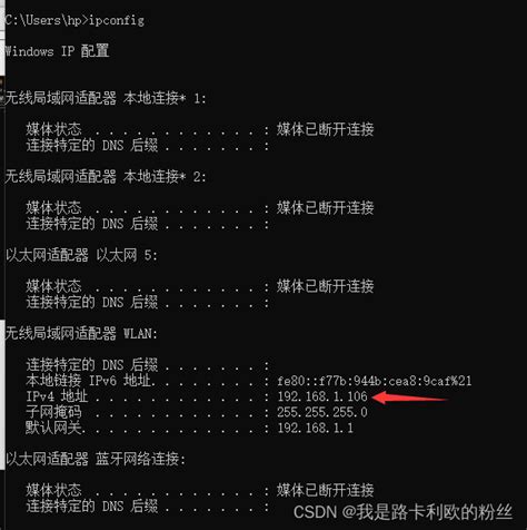 Python花生壳搭建一个外网访问本地文件的服务器如何让让外部访问本机文件 Csdn博客