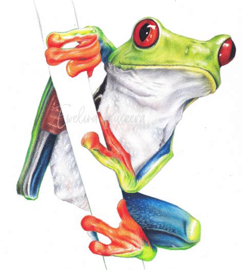 Artistic Blog Learn How To Draw With Colored Pencils How To Draw A Frog With Colored Pencils