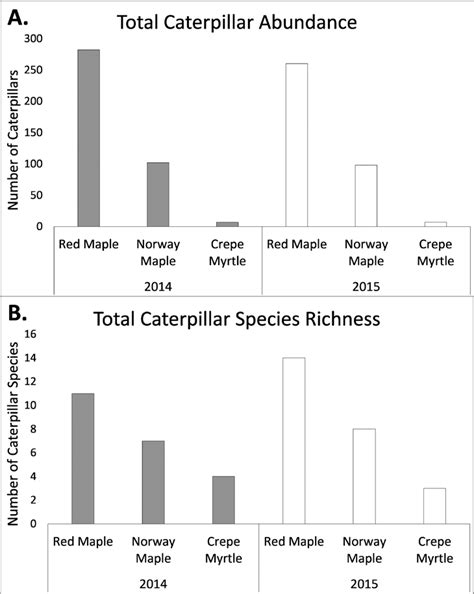 Caterpillar Abundance A And Species Richness B On The Three Tree Download Scientific