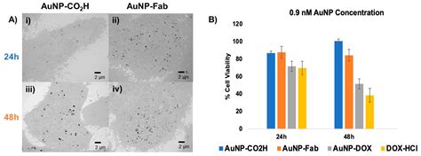 Targeted Doxorubicin Loaded Dendronized Gold Nanoparticles
