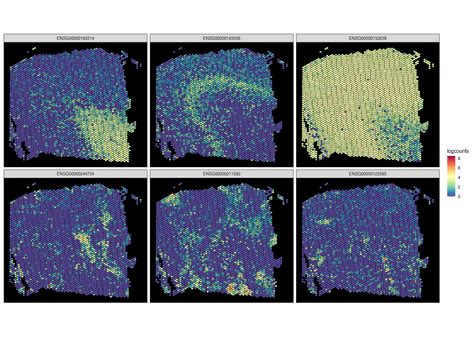 2 Visualizing Singlecellexperiment Or Spatialexperiment Objects Visualizing Single Cell Data