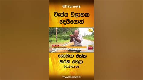 වැස්ස වළාහක දෙයියොත් ගොයියා එක්ක තරහ වෙලා Hiru News Youtube