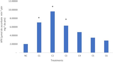 Ascorbate Peroxidase Apx Enzyme Activity In Allium Cepa Seedlings