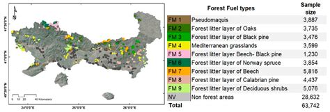 Remote Sensing Free Full Text Vegetation Fuel Mapping At Regional Scale Using Sentinel 1