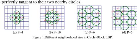 Figure 1 From Circle Block Local Binary Patterns For Face Recognition