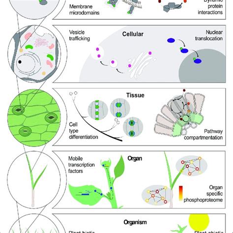 Location To Function Paradigm The Illustration Shows The Levels Of