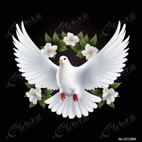 和平鸽ai图片下载 红动中国