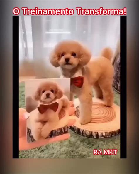 Amit Rajan Posted On Linkedin