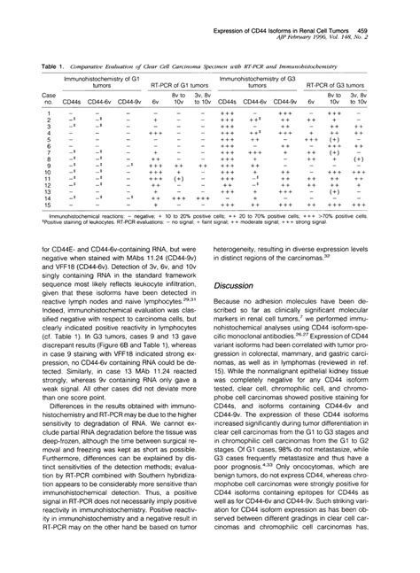 Expression Of Cd44 Isoforms In Renal Cell Tumors Positive Correlation