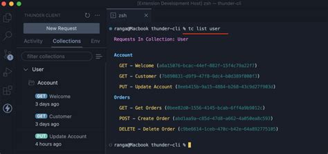 Thunder Client Cli — A New Way To Test Apis Inside Vs Code Dev Community