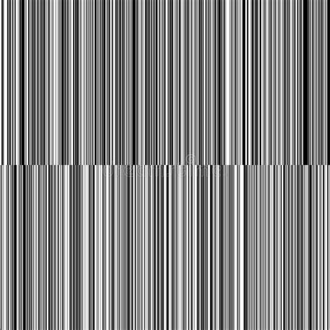 Line Variable Thickness Black And White Vertical Lines Background Stock Vector Illustration Of