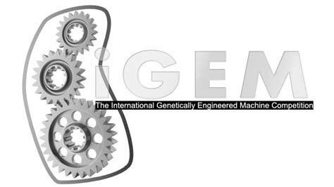 Igem Team Site Human Computer Interaction