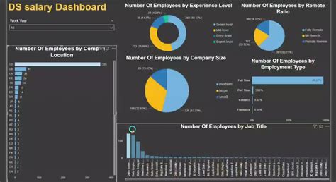 Video Thabet Habib On Linkedin Job Data Visualization