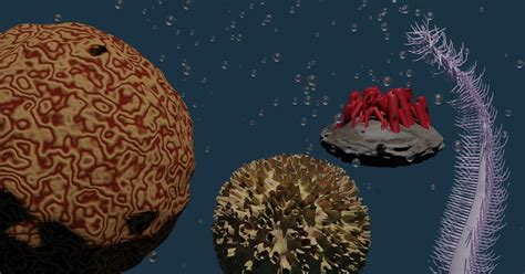 Pls Help With My Coral Blender