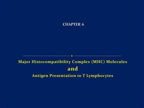 Mhc Major Histocompatibility Complex Ppt