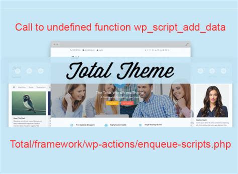 Total Theme Call To Undefined Function Wpscriptadddata Fix