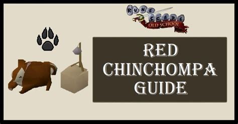 Osrs Red Chinchompas Guide Hunter Method