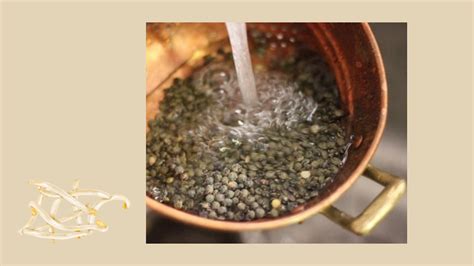 វិធីងាយៗក្នុងការបណ្ដុះសណ្ដែកបណ្ដុះនិងវិធីរក្សាទុកសណ្ដែកបណ្ដុះដោយខ្លួនឯង នាទីកសិកម្ម Kaksekam