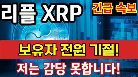 리플은 이미 시작했습니다빨리 올라타세요 Youtube