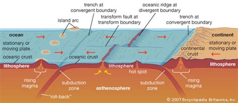 Ocean Floor Plates Telegraph