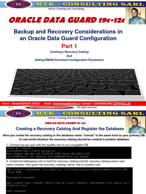 Recovery Catalog Dg Pdf Backup Databases