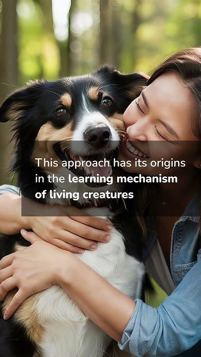 Reinforcement Learning Ai Machinelearning Reinforcementlearning