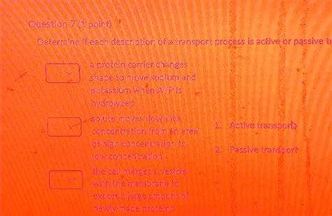 Question 7 1 Point Determine If Each Description Of A Transport Process Is Active Or Passive