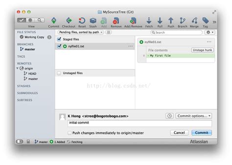 【gitsource Tree使用教程之一】commit And Pushsource Tree Commit Csdn博客