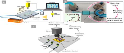 Illustration Of The Controlled Acoustic Microfluidic Manipulation Setup Download Scientific