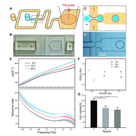 A Schematic Of Refractive Index Measurement Platform Based On The Download Scientific Diagram