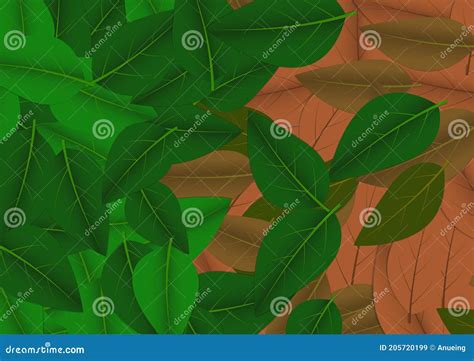 Vector Green And Brown Leaves Background Stock Vector Illustration
