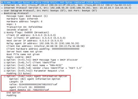 Understanding Dhcp Option 82 Mrn Cciew