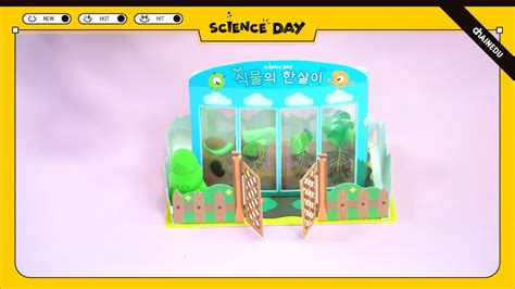 한눈에 보는 식물의 성장 과정 식물의 한살이 모형 만들기[사이언스데이] 초등 Youtube