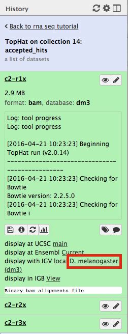 Reference Based Rnaseq Data Analysis Long