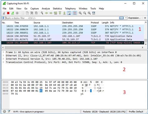 Network Forensics With Wireshark Basics