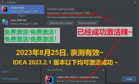 Intellij Idea 2023 3 3最新激活、破解教程、亲测有效、持续更新 徐师兄编程源码站