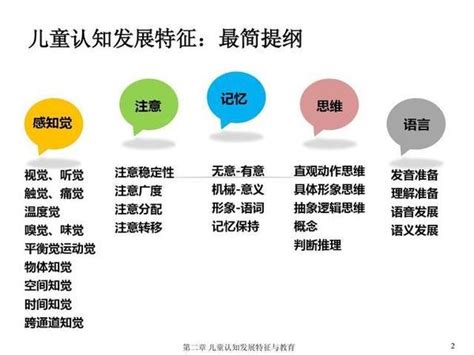 何为认知功能 知乎