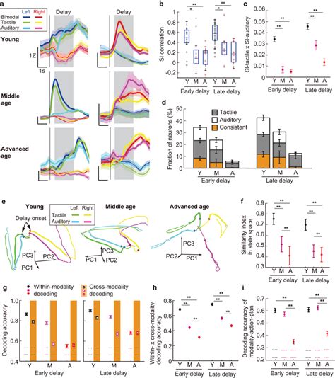 Modality General Coding Degrades With Aging A Trial Averaged Activity