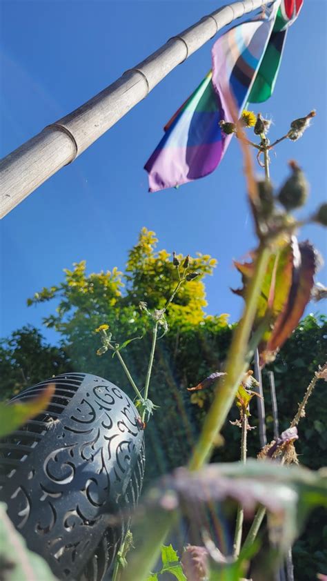 Two Same Sex Ladybugs Having Sex Under A Gay Pride Flag Rpics