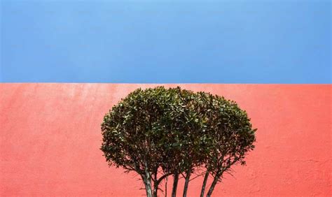 mastering image segmentation dividing images into meaningful regions