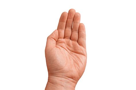 성인 남자의 직선 닫힌 손가락으로 손바닥을 엽니 다 투명 한 고립 된 배경에 인간의 손의 제스처 클로즈업 모형 개념에 대한 스톡 사진 및 기타 이미지 Istock