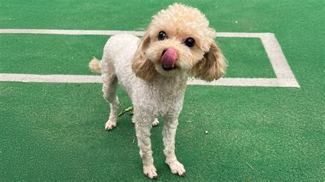 겨울 공기 속의 깊은 멜로디 감성 힙합randb 플레이리스트 Youtube