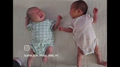 24일차 쌍둥이 남매 이나 와 시안 친하게 지내고 있어요~~ 😊👶 신생아 남매둥이 응애응애 Youtube