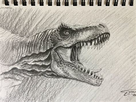 Realistic Dinosaur Drawings In Pencil Dinosaur Pencil Vector Images