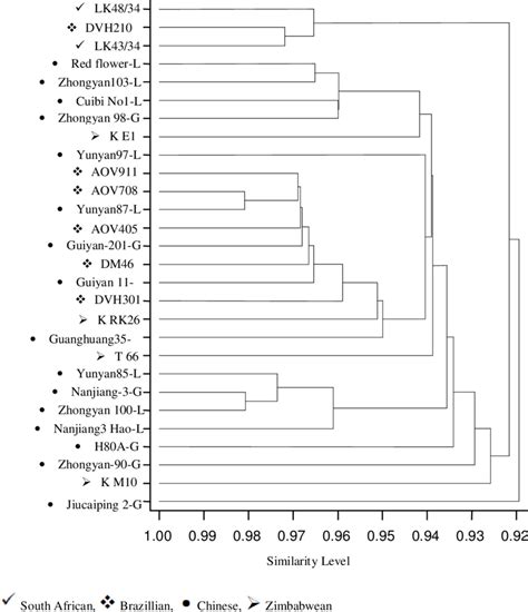 Dendrogram Generated By The Upgma Method Based On Phenotypic Characters