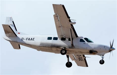 Classic Wings Passion Meets Tradition