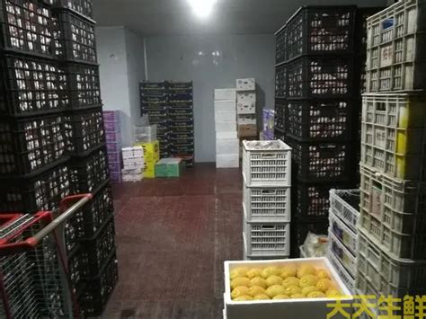 基地仓库 天天生鲜蔬菜配送公司